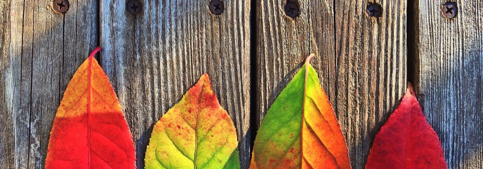 How To Lead A Great Fall Retreat LeaderTreks Youth Ministry Blog